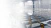 Large Area Coating | On-line control of coating processes