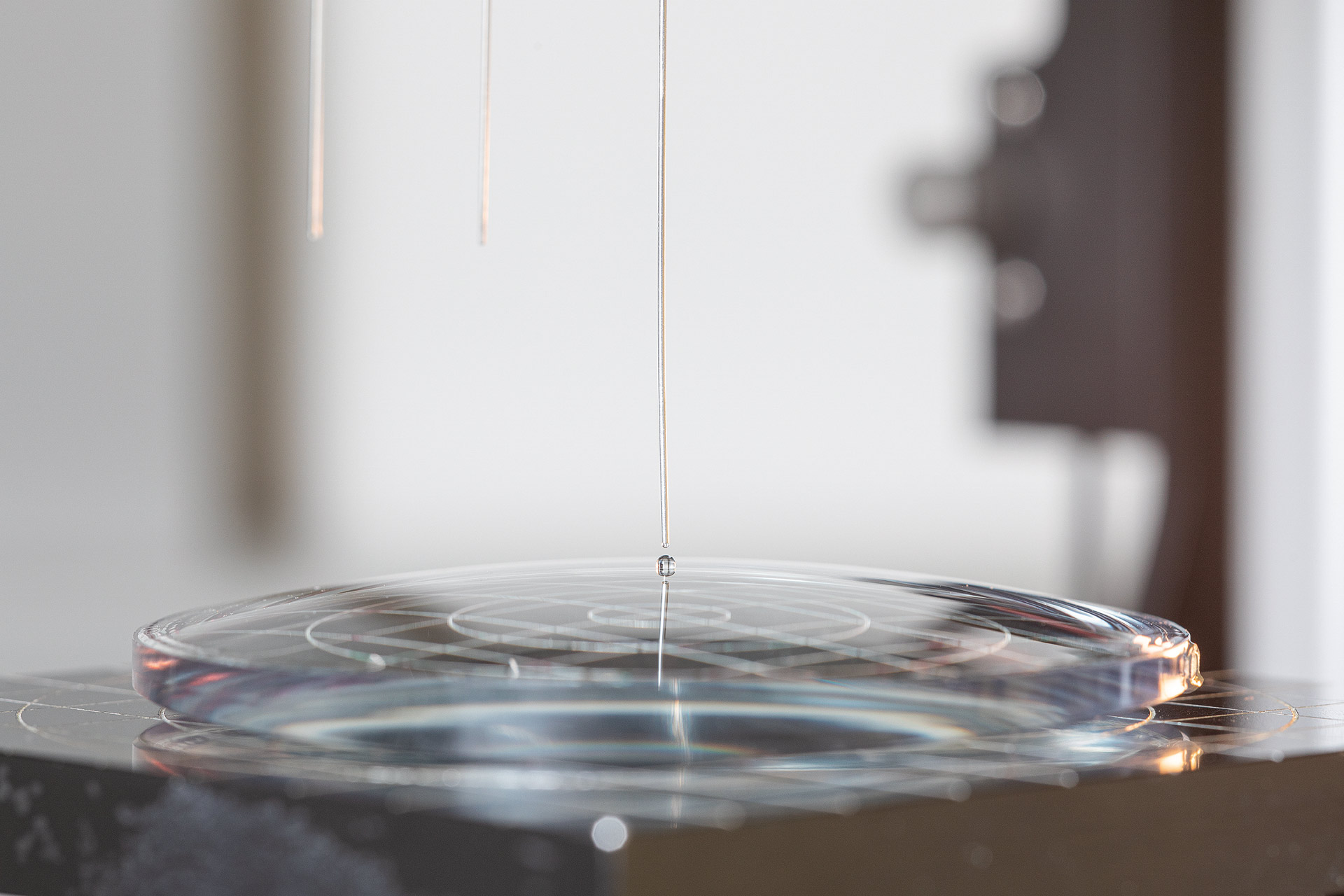 ZEISS Testing Methods: Setting Even Higher Internal Standards