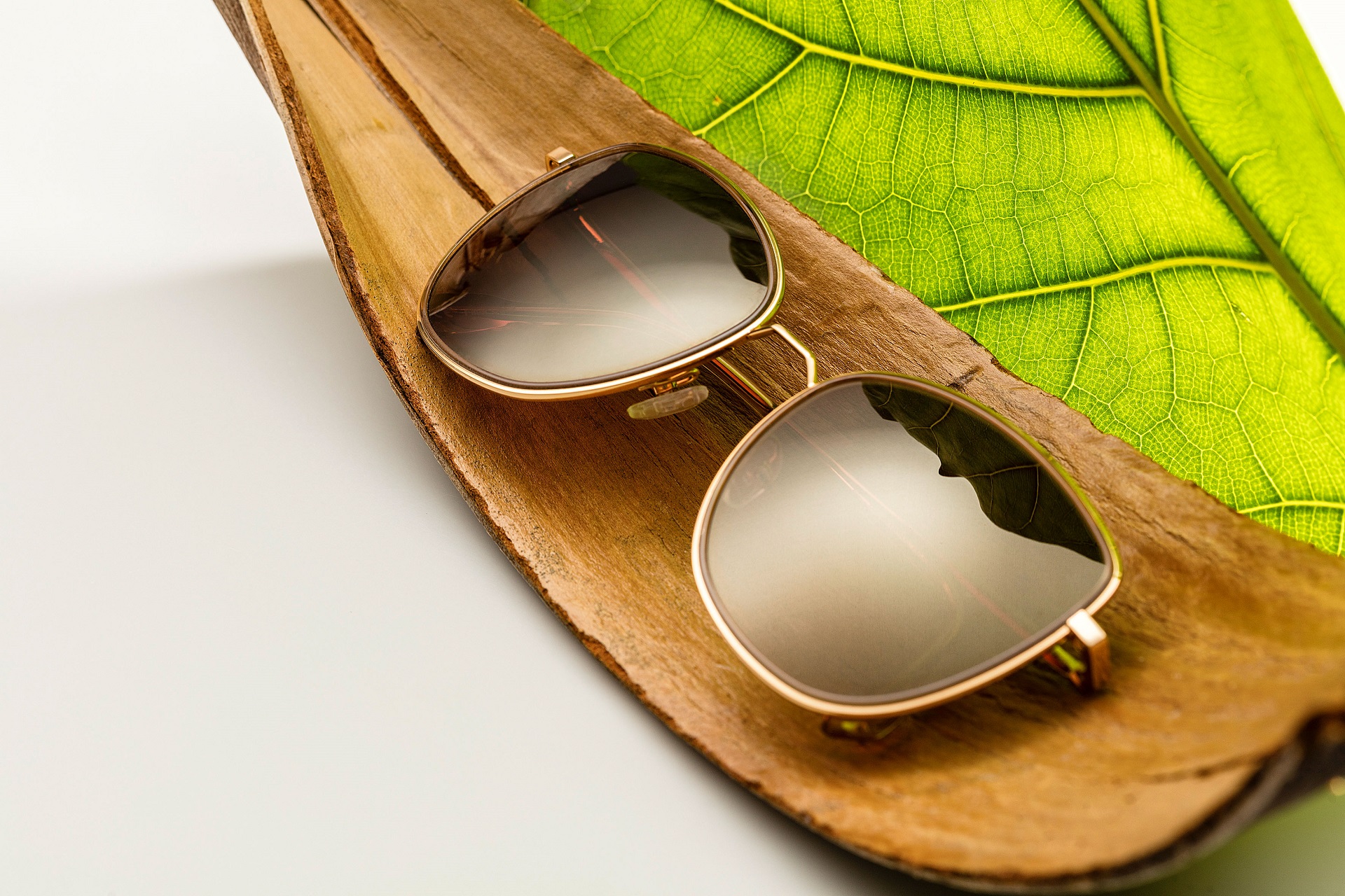 ZEISS Sunlens Presents Climate-Friendly Sun Lenses