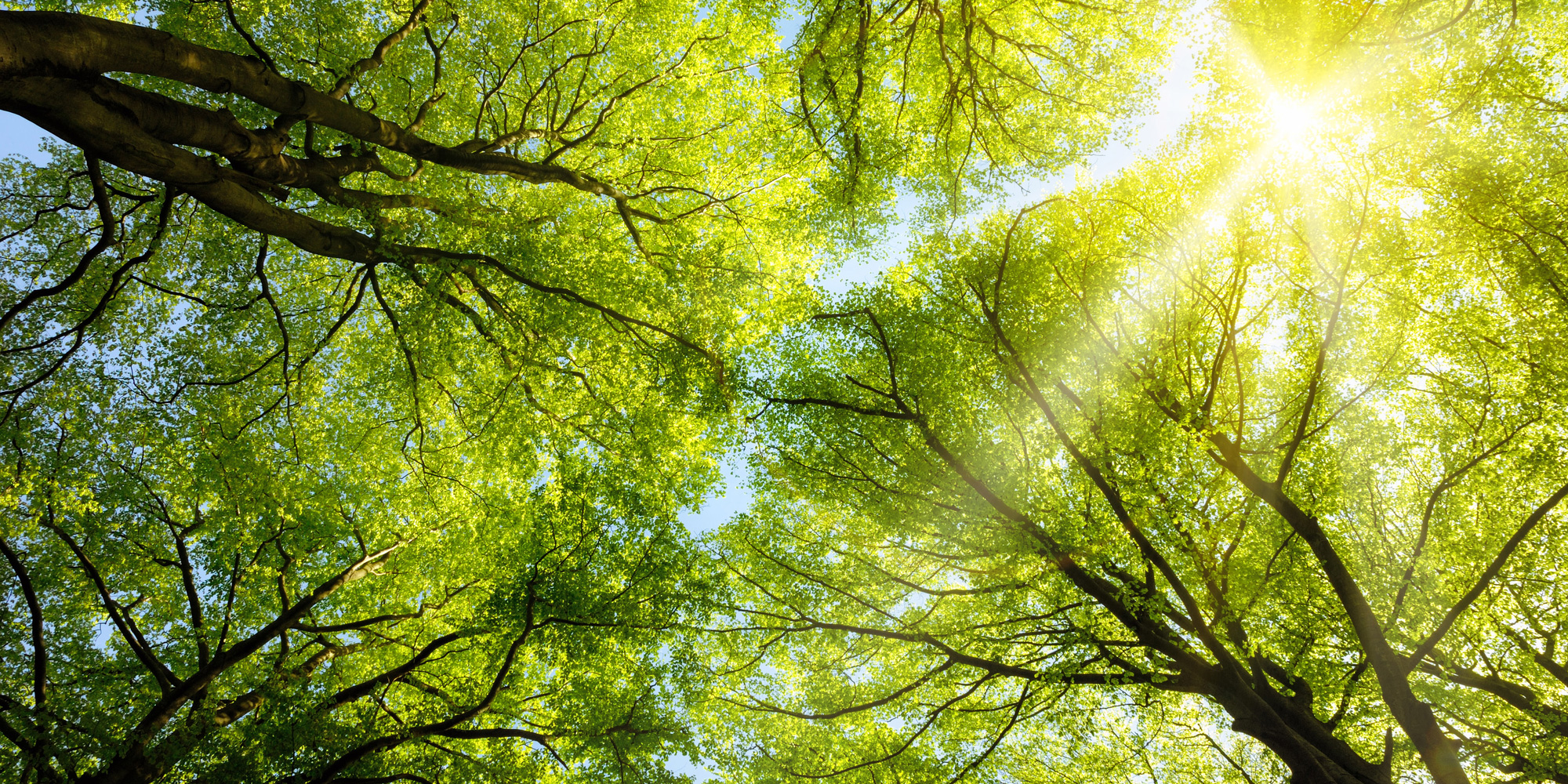 Sustainability in Eyeglass Lens Production