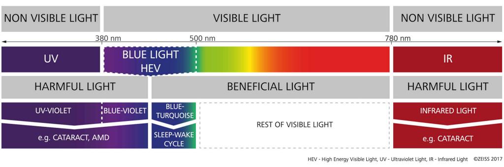 How does color vision work?