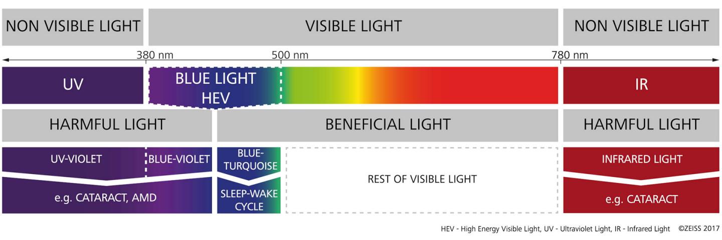 How does color vision work?
