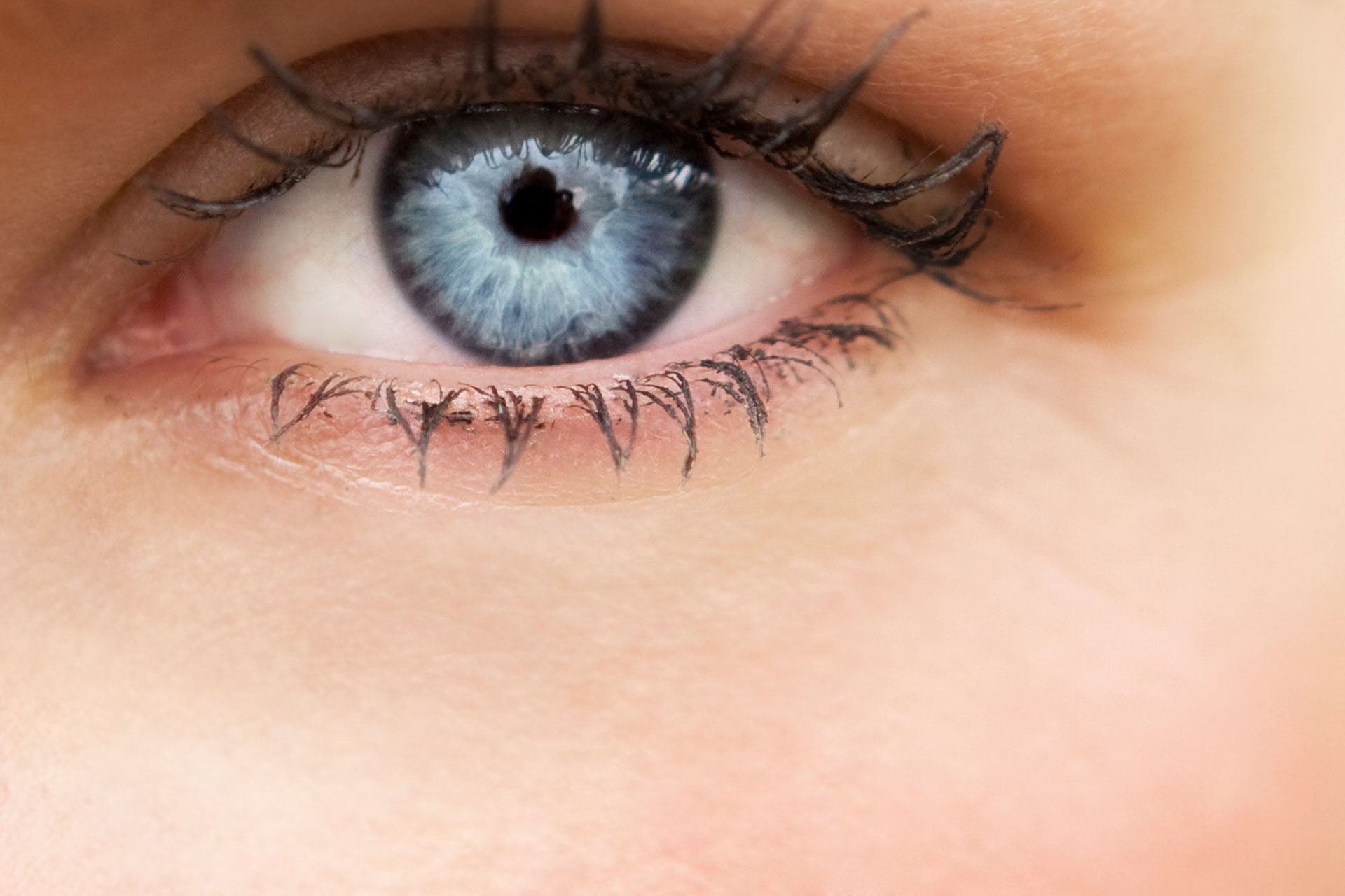 Understanding Vision: Research by ZEISS into the fundamental processes ...